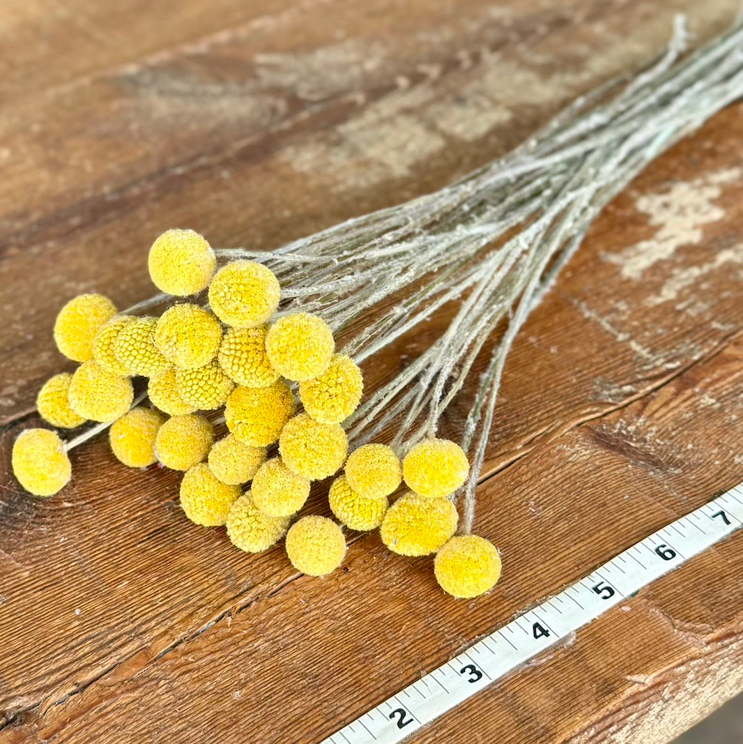 Bulk Dried Flowers for Weddings & DIY | Dried Flowers Forever